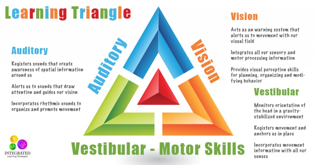 Learning Triangle: Without the Vestibular, Visual and Auditory Working ...